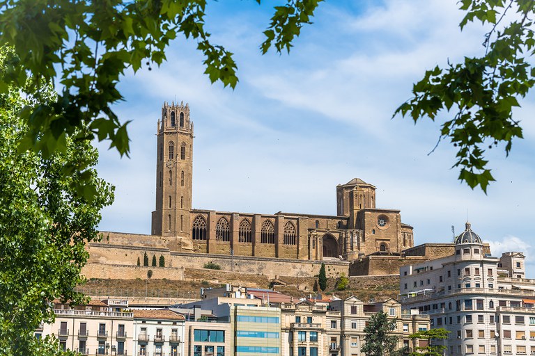 Turó de la Seu Vella - Regidoria de Cultura
